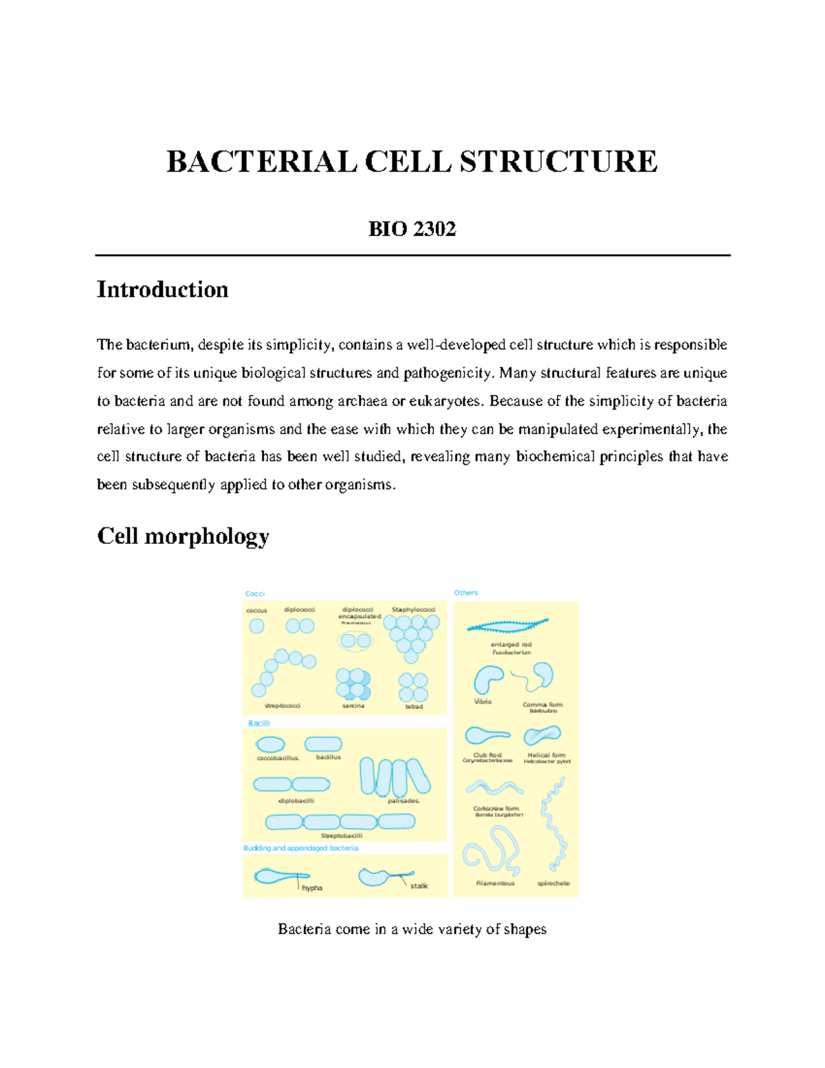 Bacterial cell structure BIO2302 2020 - BACTERIAL CELL STRUCTURE BIO ...