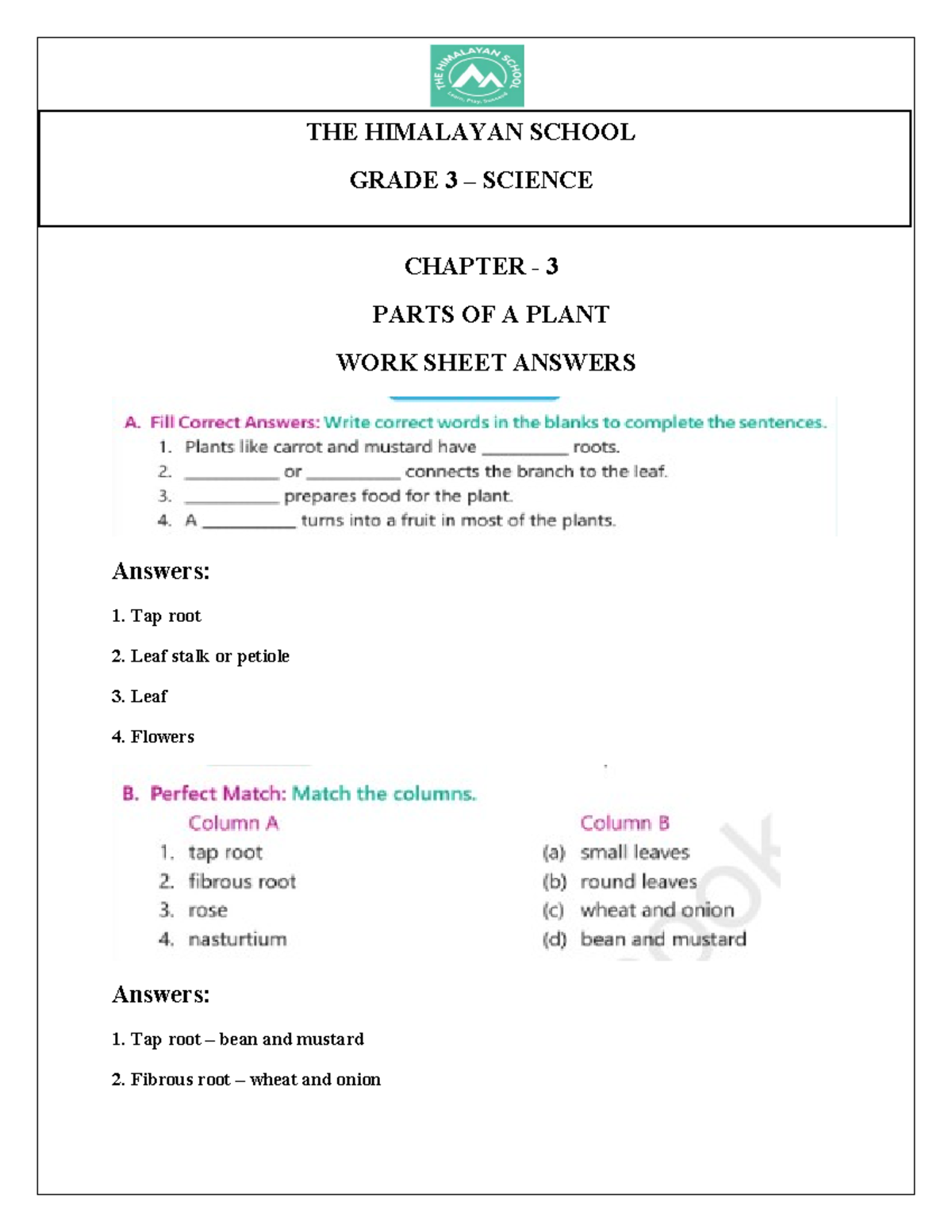 Chapter 3 science answers - CHAPTER - 3 PARTS OF A PLANT WORK SHEET ...