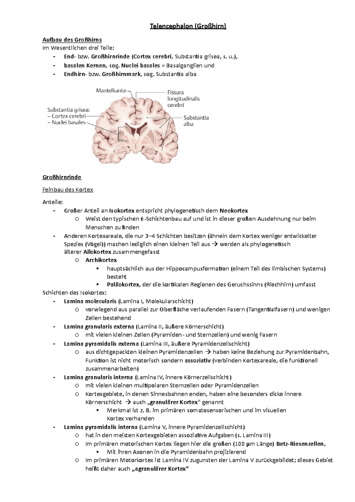 Einseitige Basalganglien