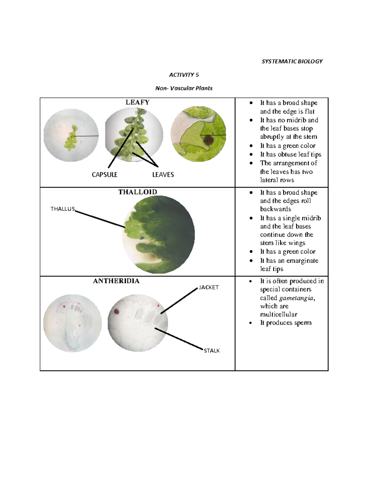 Activity 2 - Answer about the non-vascular plants worksheet; Prof Janet ...
