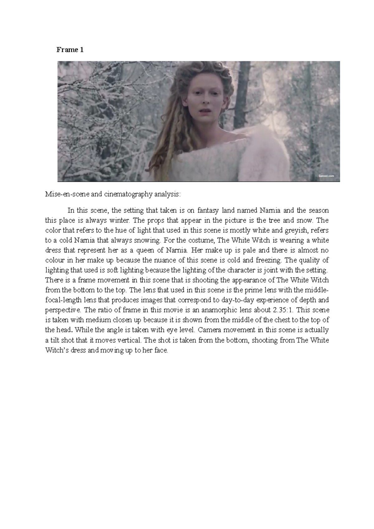 Mise-en-scene and Cinematography Analysis The Chronicles of Narnia ...