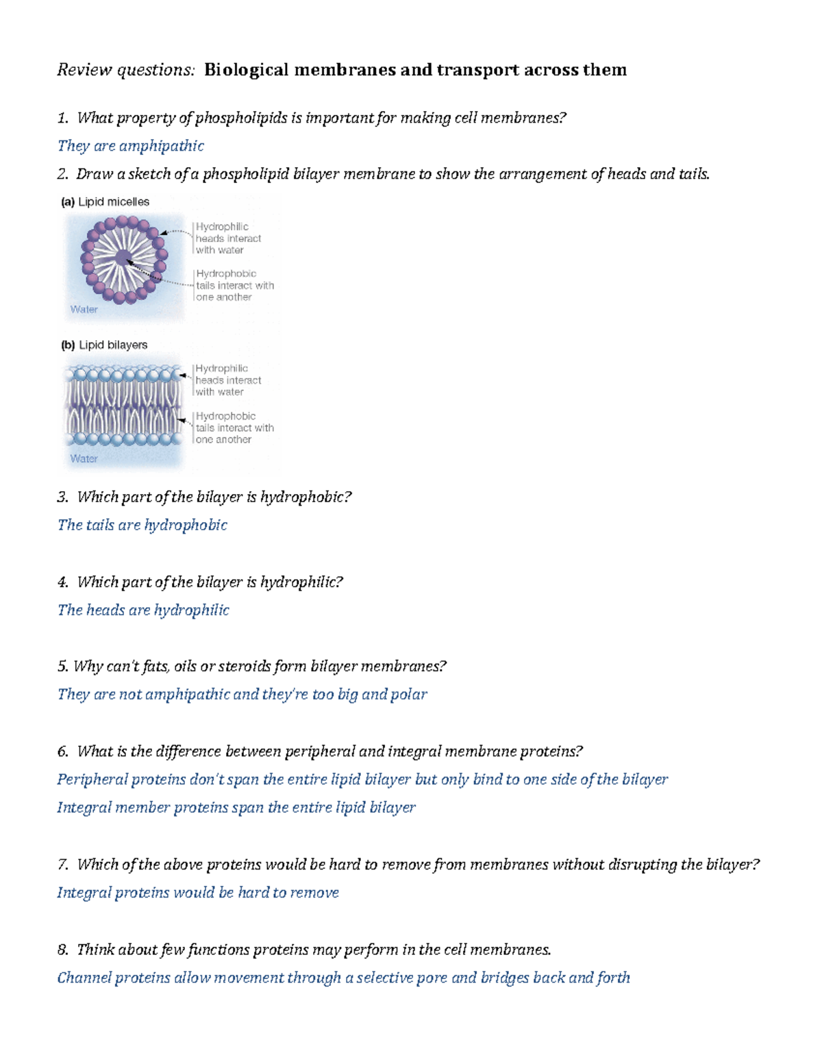 Biological membranes Review Questions - Review questions: Biological ...