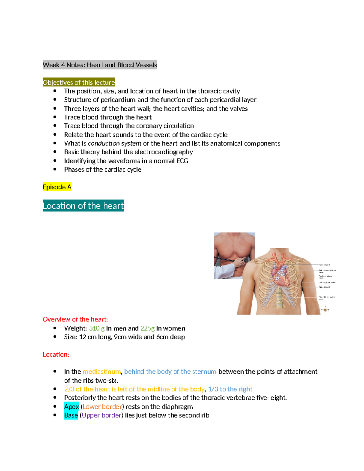 Week 4 Notes - n/a - Week 4 Notes: Heart and Blood Vessels Objectives ...