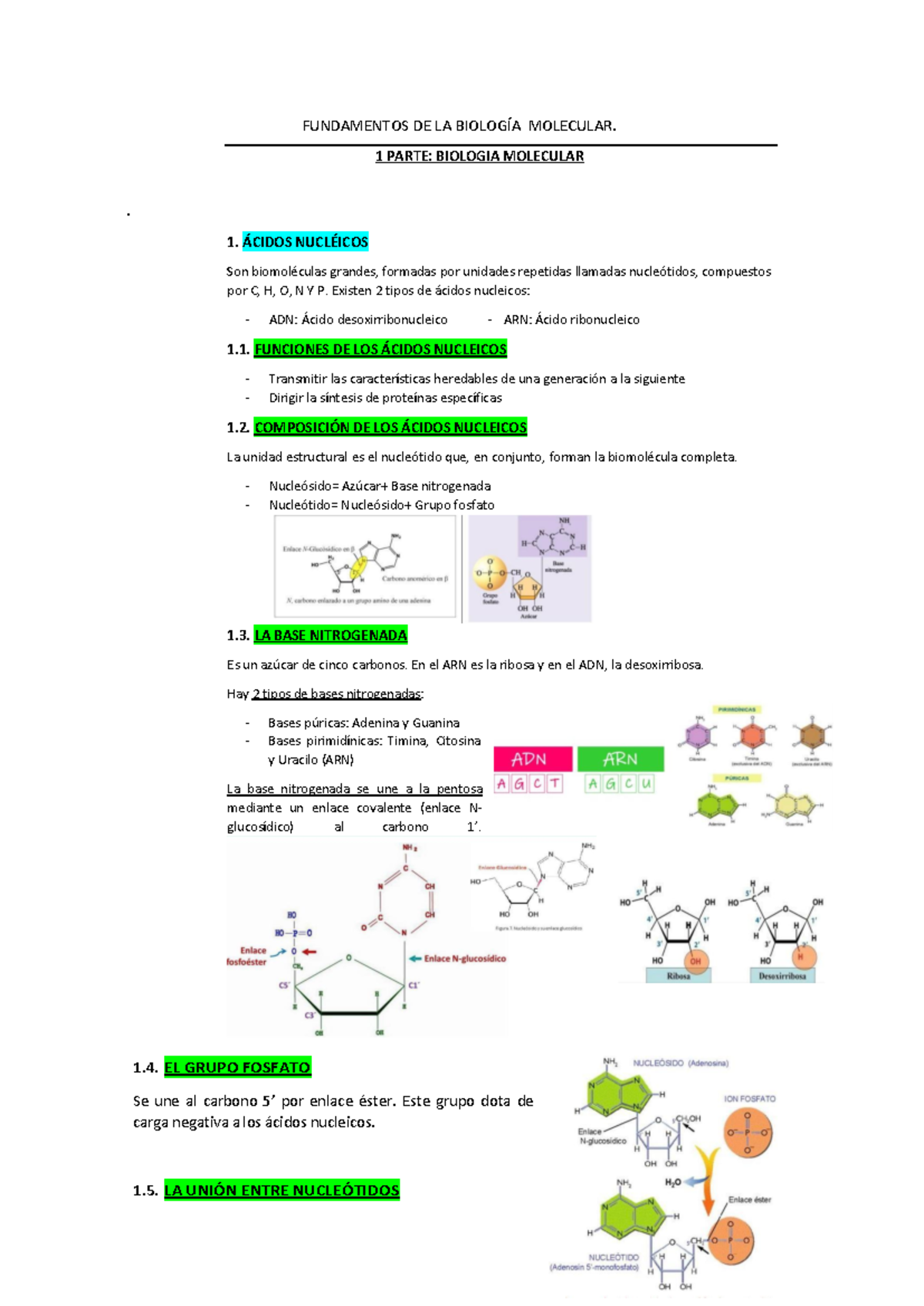 Wuolah-free- Biologia- Molecular-U1 pili - Bases púricas: Adenina y ...