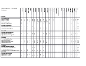Lab Practical 1 identification List - BIO 203 Practical Exam #1 ...