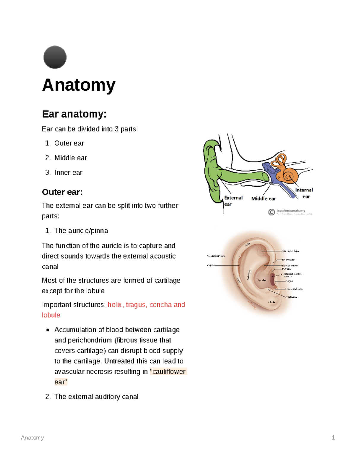 Ear Nose Throat Anatomy - MED101 - Sheffield - Studocu