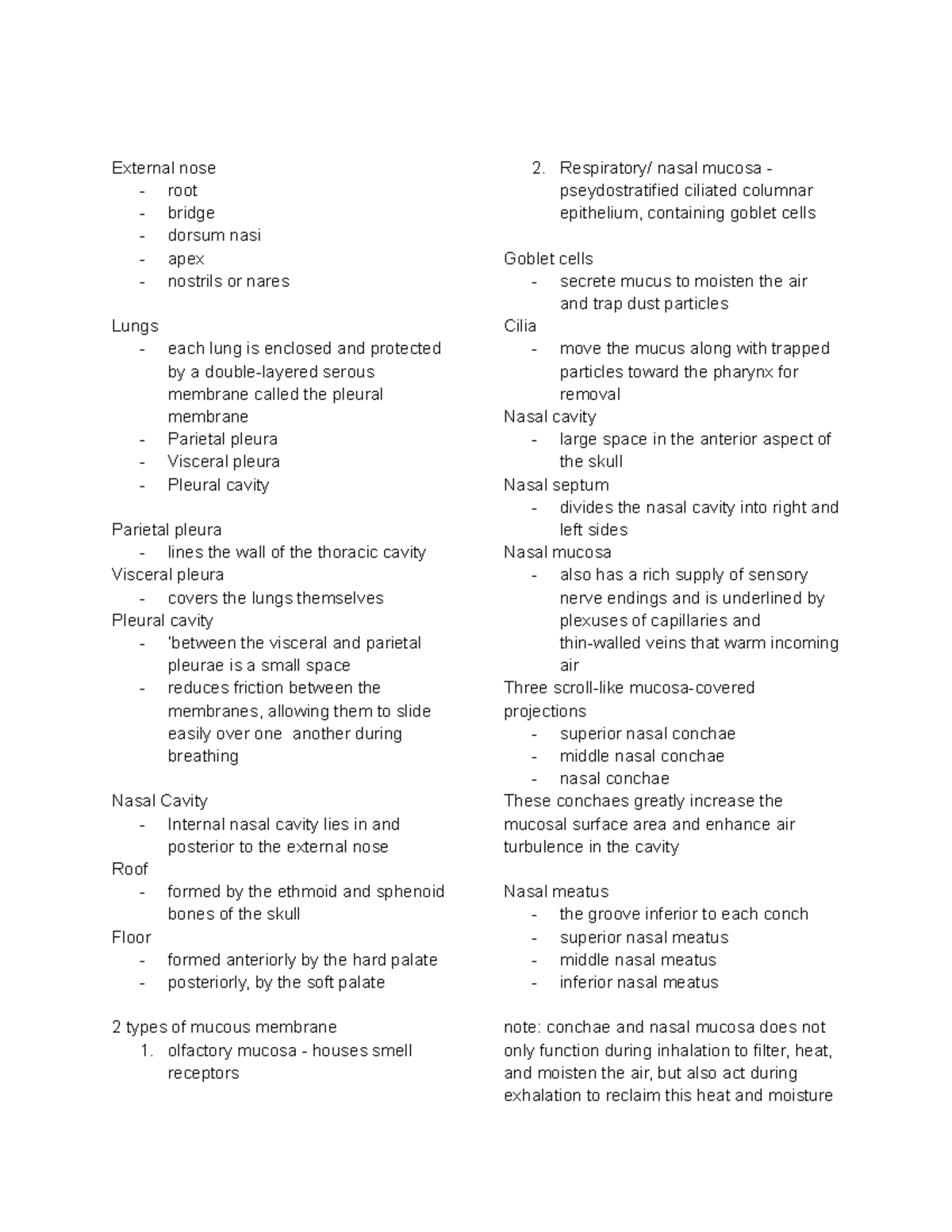 Anaphy Lab Respiratory system - External nose - root - bridge - dorsum ...