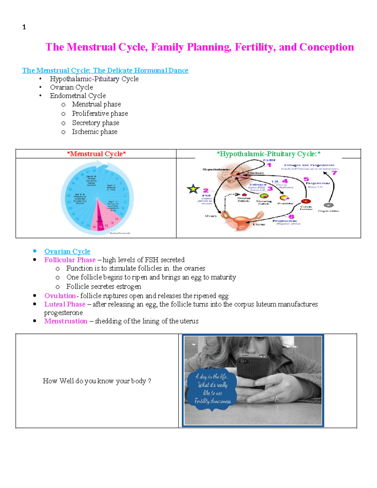 Maturnity Exam 1 - REVIEW - The Menstrual Cycle, Family Planning ...