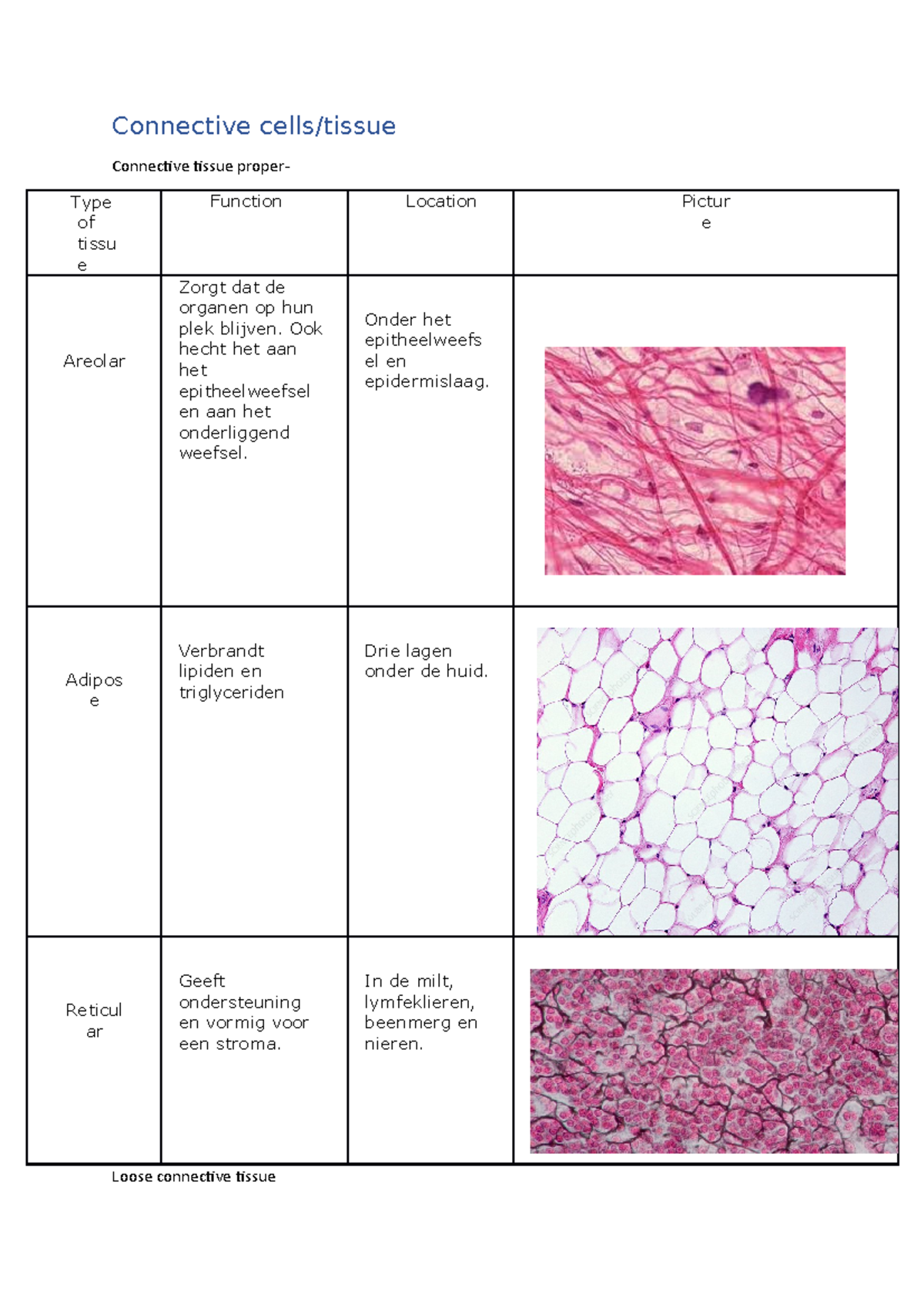 Connective cells (worksheets opdracht voor les 6) - FLO: Histologie en ...