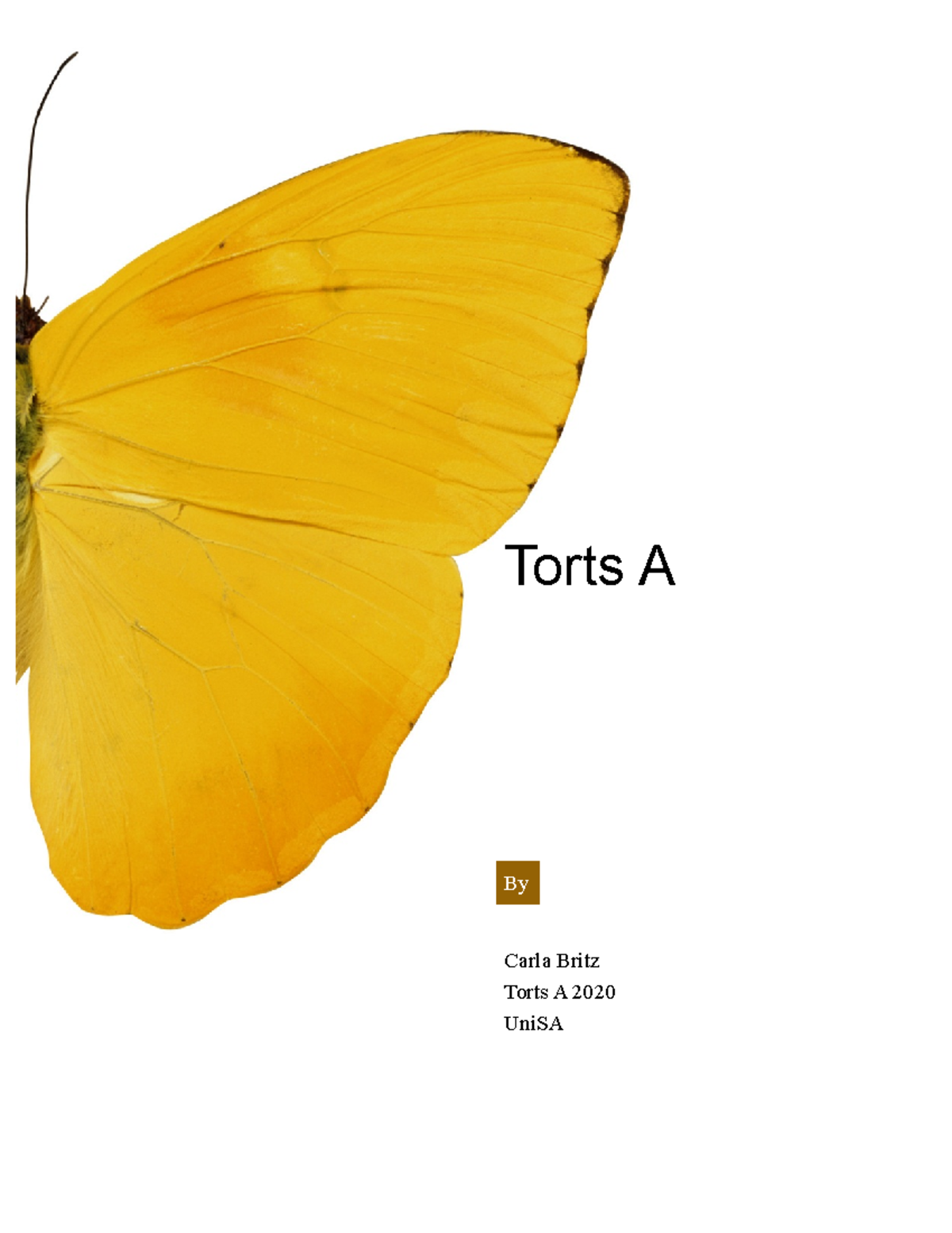 Torts A Notes Carla Britz 2020 - Torts A By Carla Britz Torts A 2020 ...