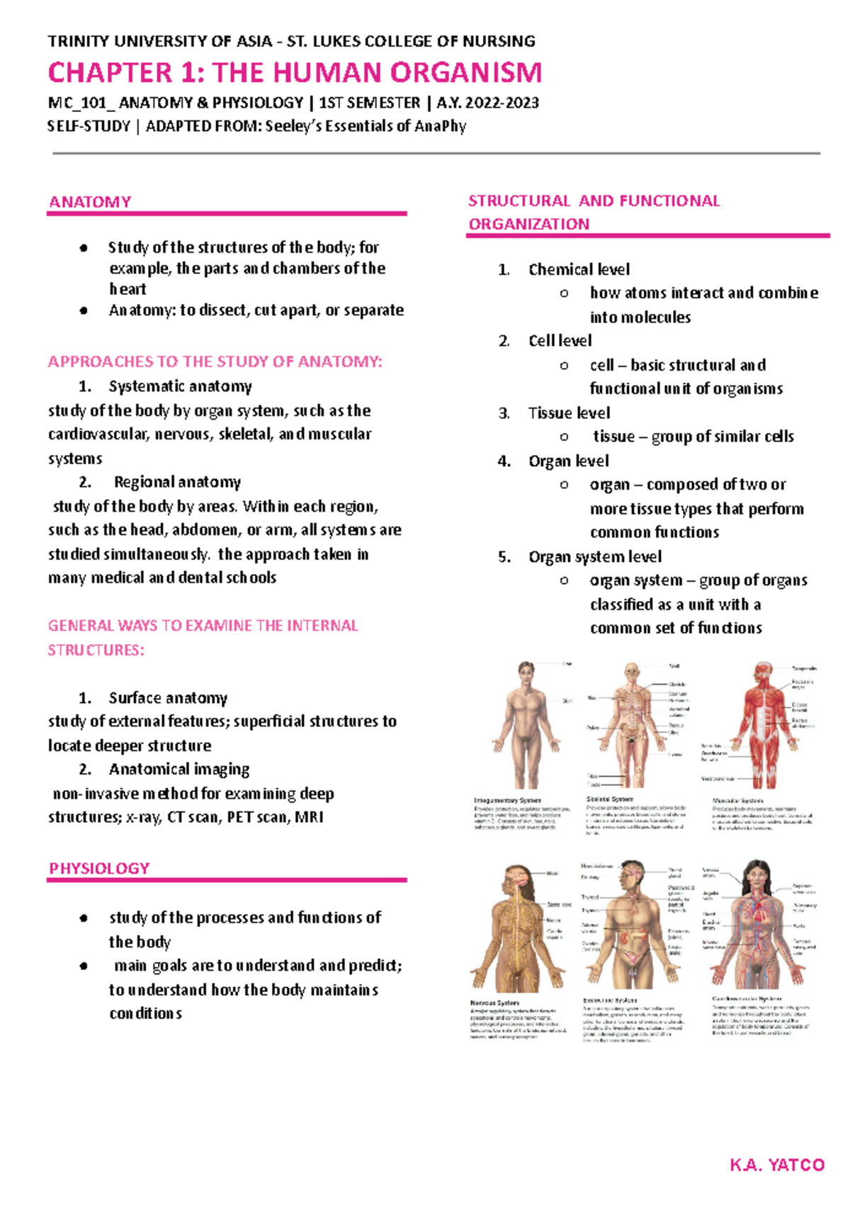 Chapter 1 The Human Organism - TRINITY UNIVERSITY OF ASIA - ST. LUKES ...