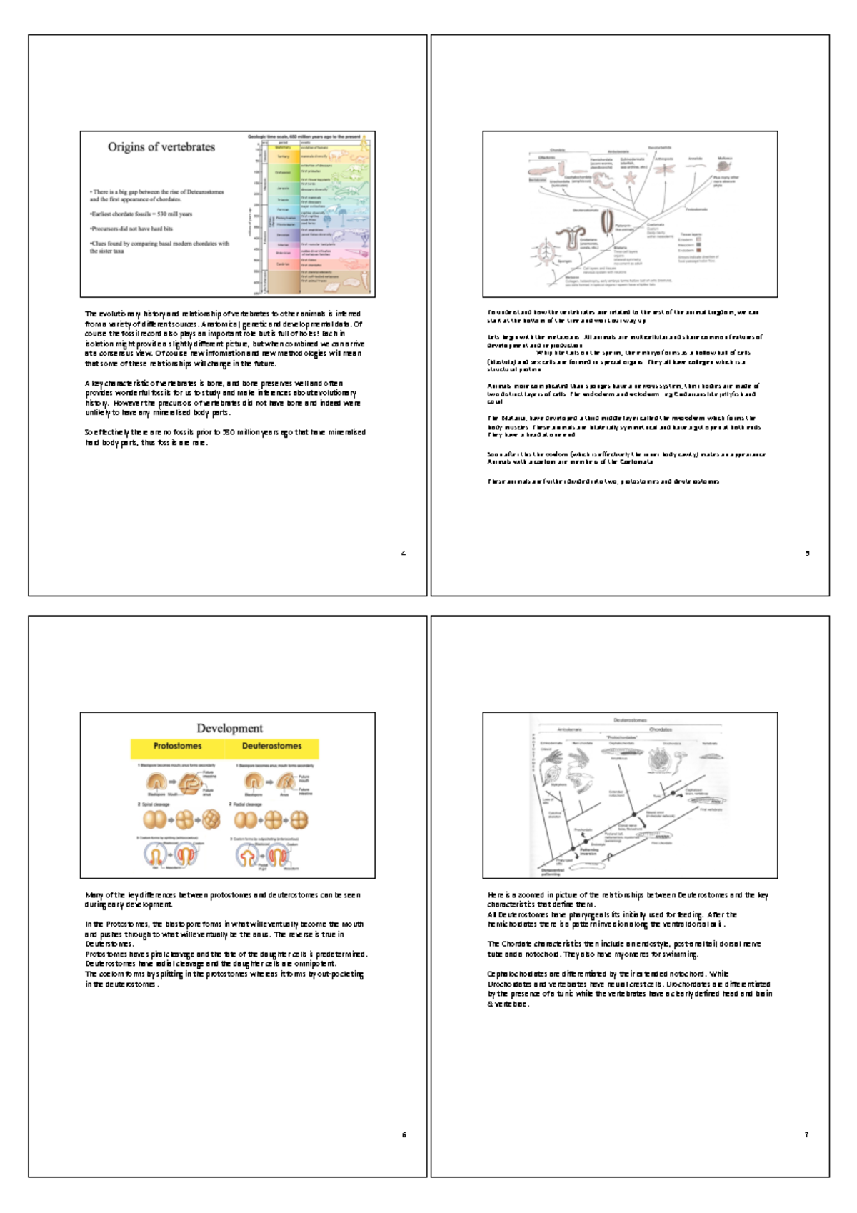 Lecture 4 Power Point Notes - The evolutionary history and relationship ...