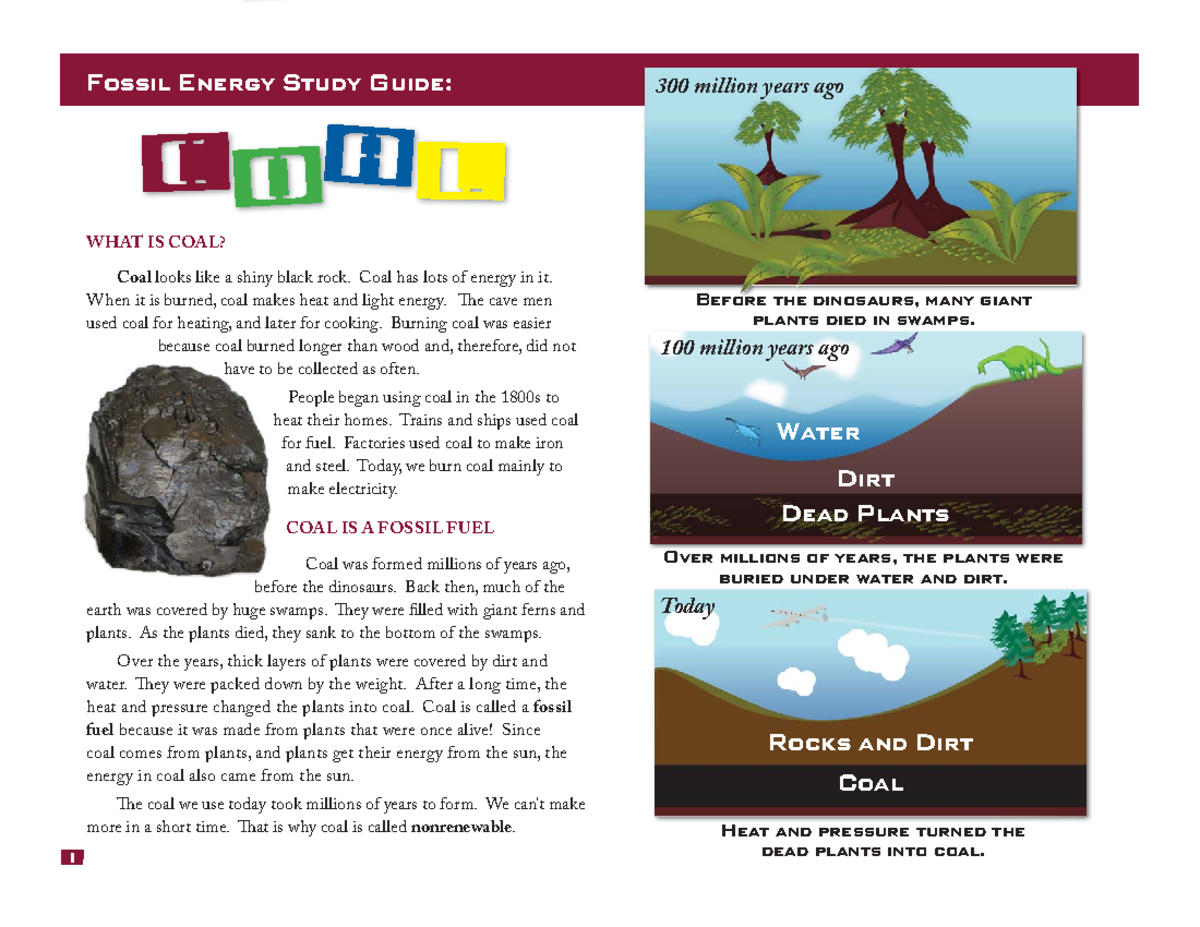 Elem Coal Studyguide - Fossil Energy Study Guide: WHAT IS COAL? Coal ...
