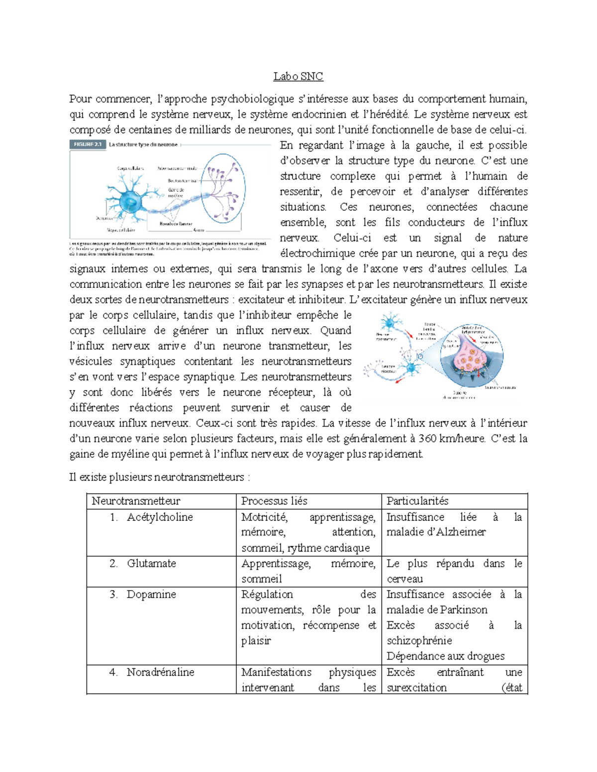 Labo SNC psycho 1 - Laboratoire sur le SNC, 2 pages - Labo SNC Pour ...