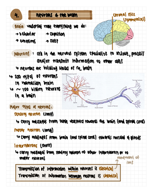 Psychological Disorders - 20 . Psychologicaldisorders 1 categorical v1 ...