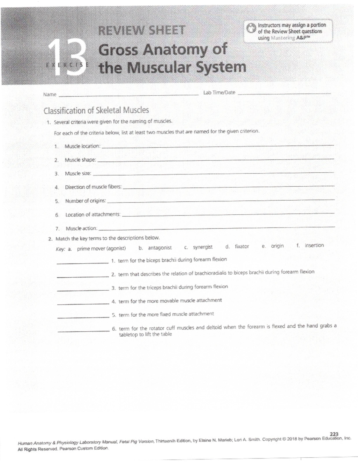 Lab Exercise 13 Review Questions 1 BIOL 2401 TCCD Studocu