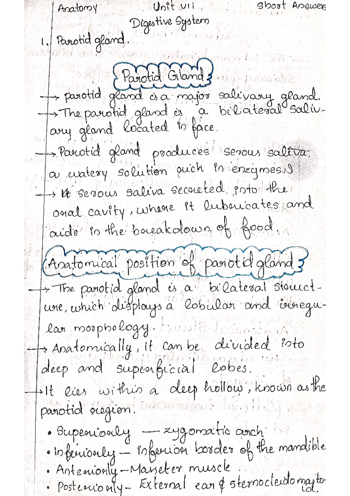 Digestive system anatomy short answers - Human Anatomy & Physiology-I ...