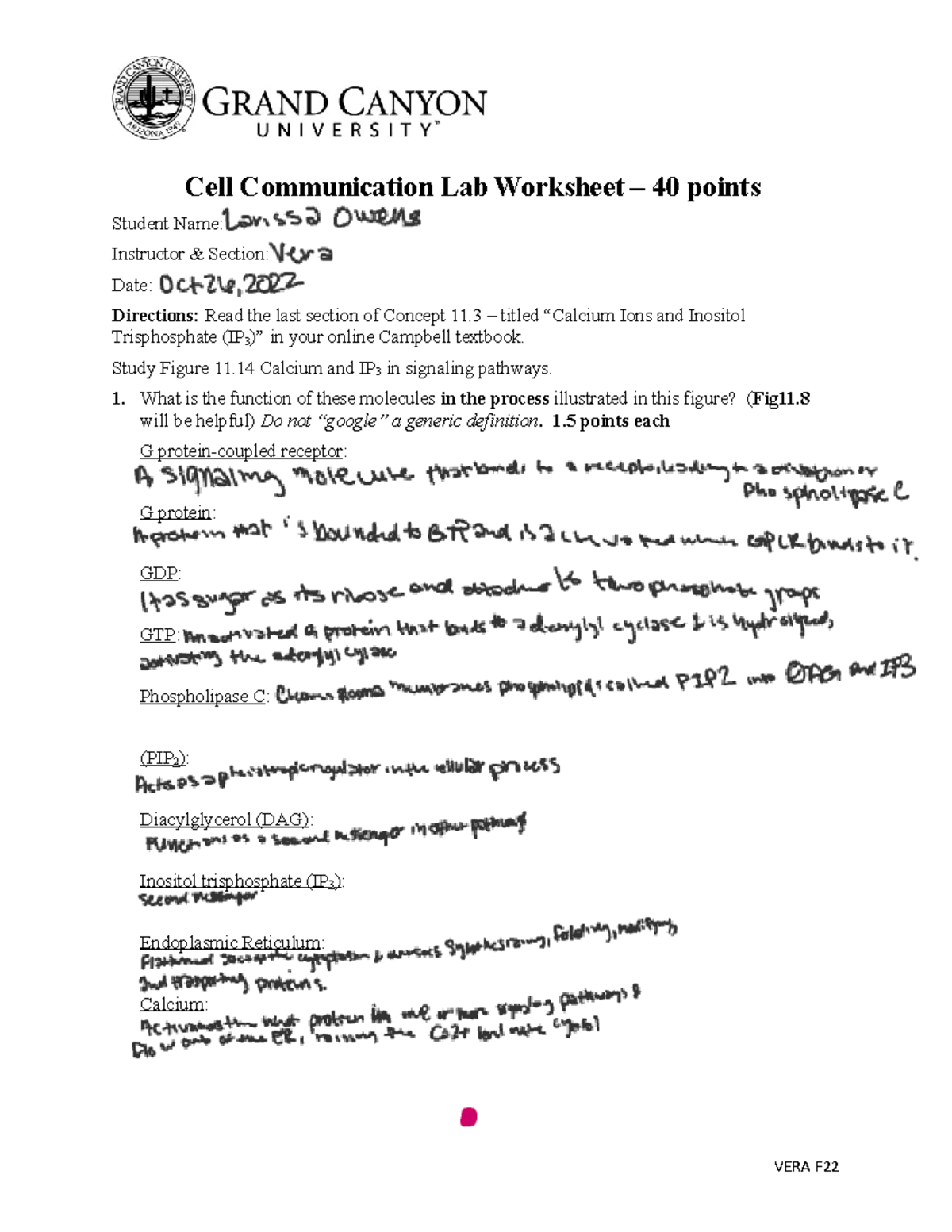 LOwens cellsignaling worksheet - Cell Communication Lab Worksheet – 40 ...