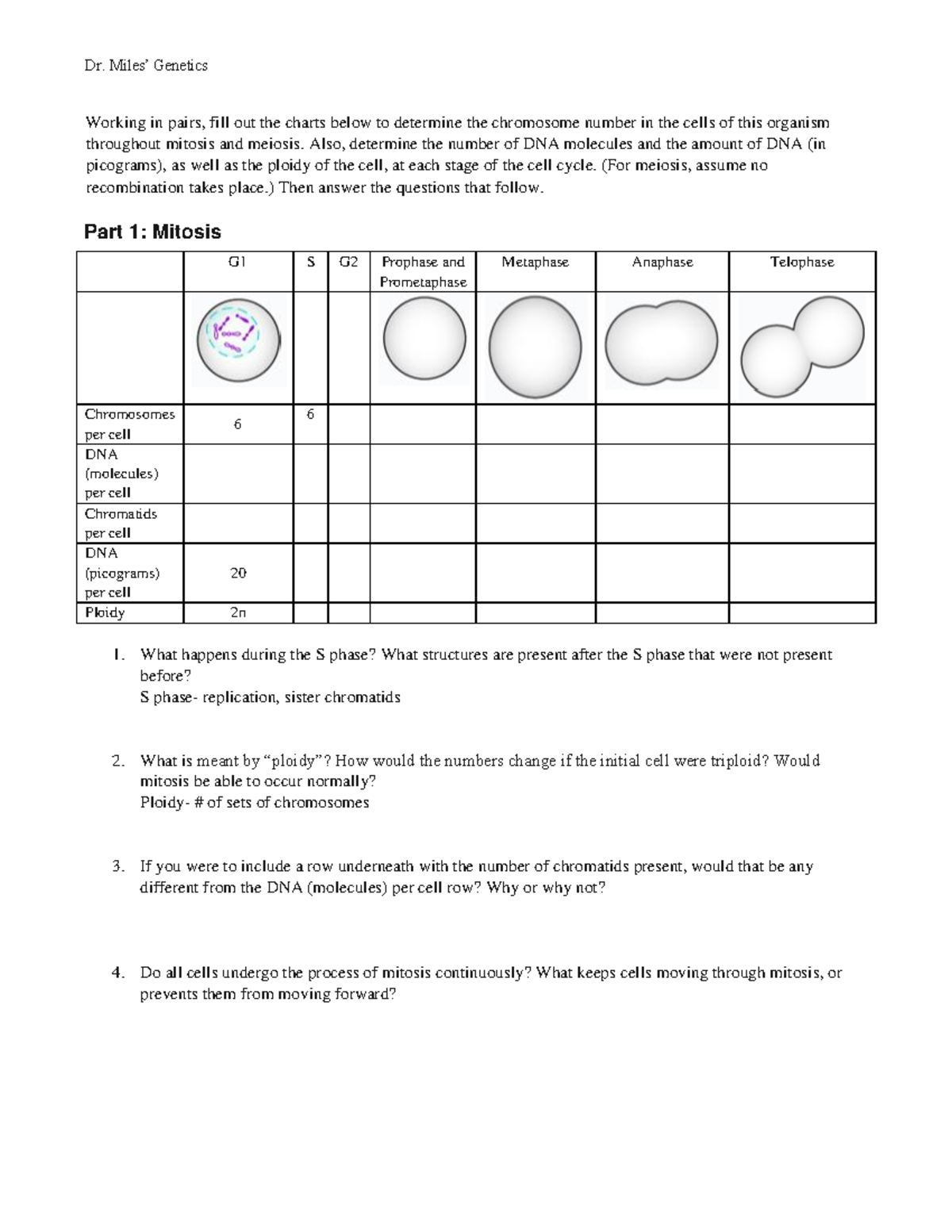 Mitosis + Chromosome Counting (1) - Dr. Miles’ Genetics Working in ...