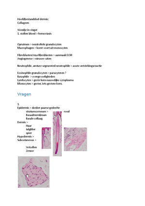 11. Percussie en auscultatie - Percussie en auscultatie Om lichamelijk ...
