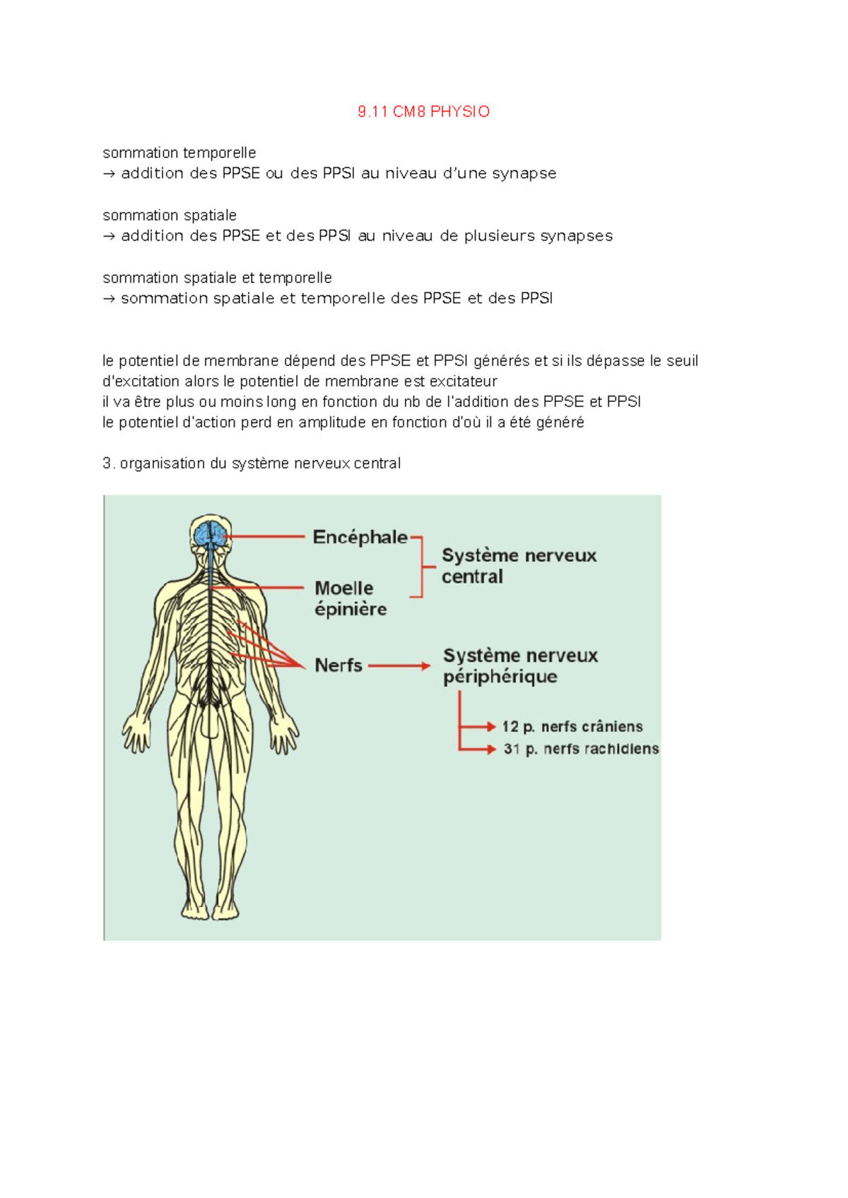 9.11 CM8 Physio - 9 CM8 PHYSIO sommation temporelle → addition des PPSE ...