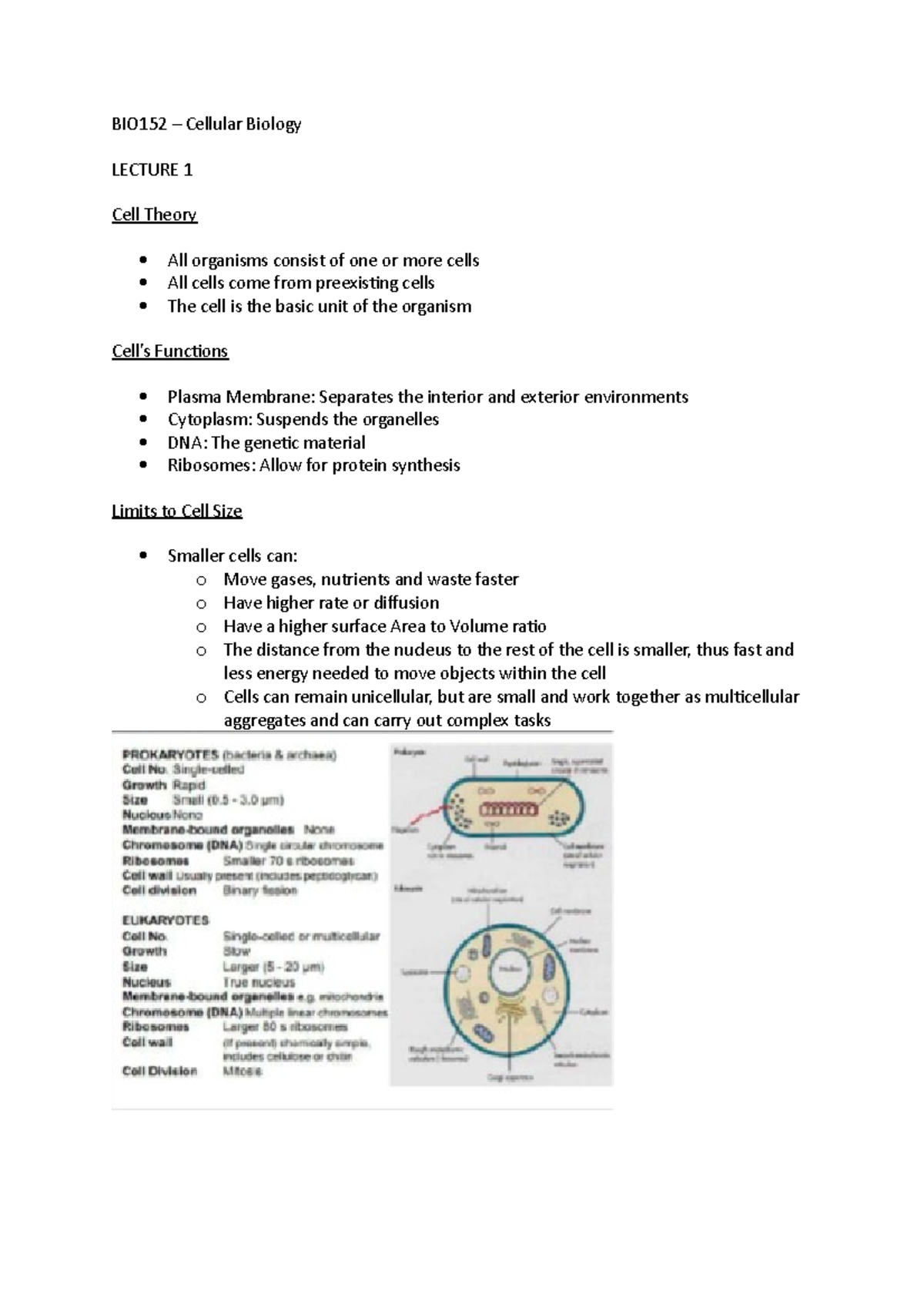 BIO152 – Cellular Biology Notes - BIO152 Cellular Biology LECTURE 1 ...