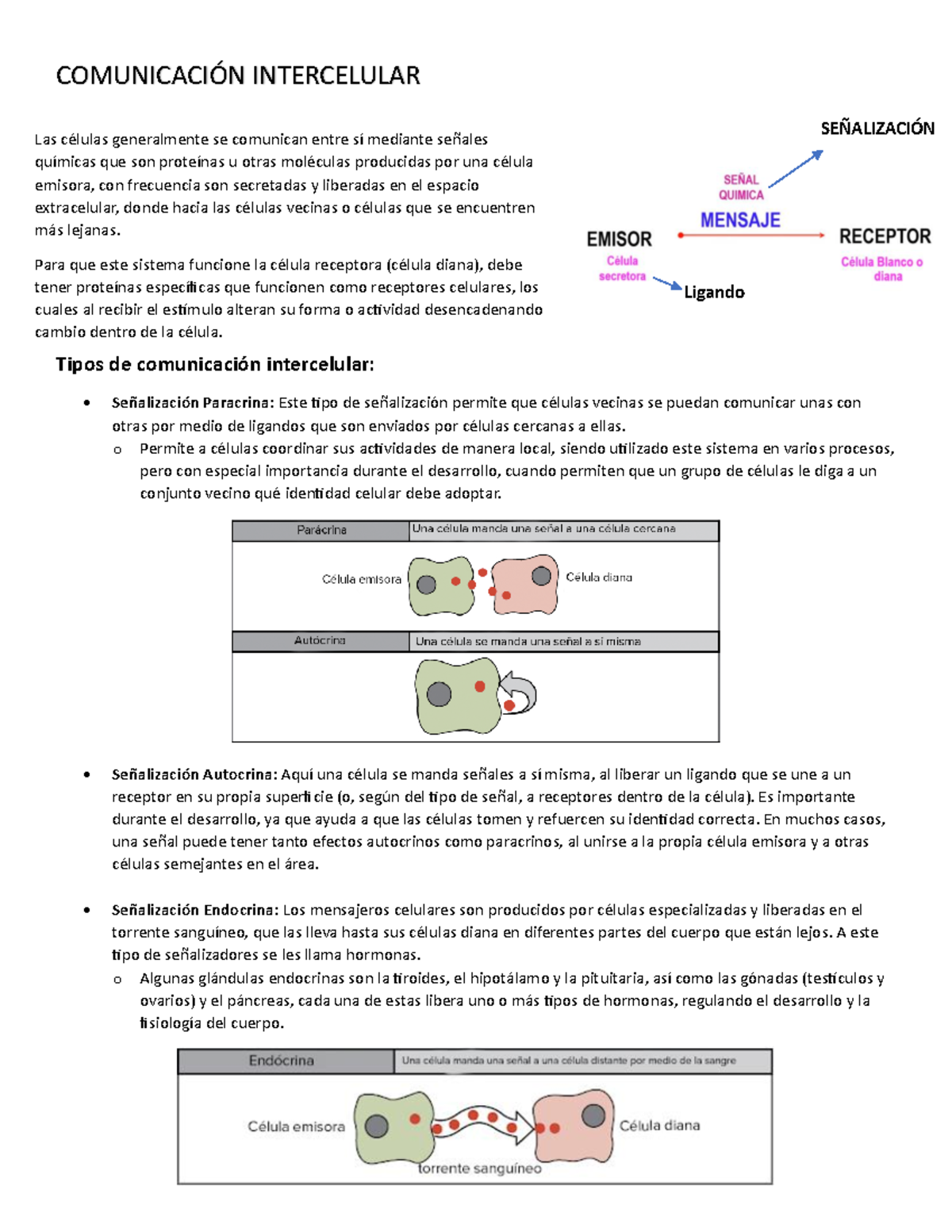 Comunicación Intercelular - COMUNICACIÓN INTERCELULAR Tipos de ...