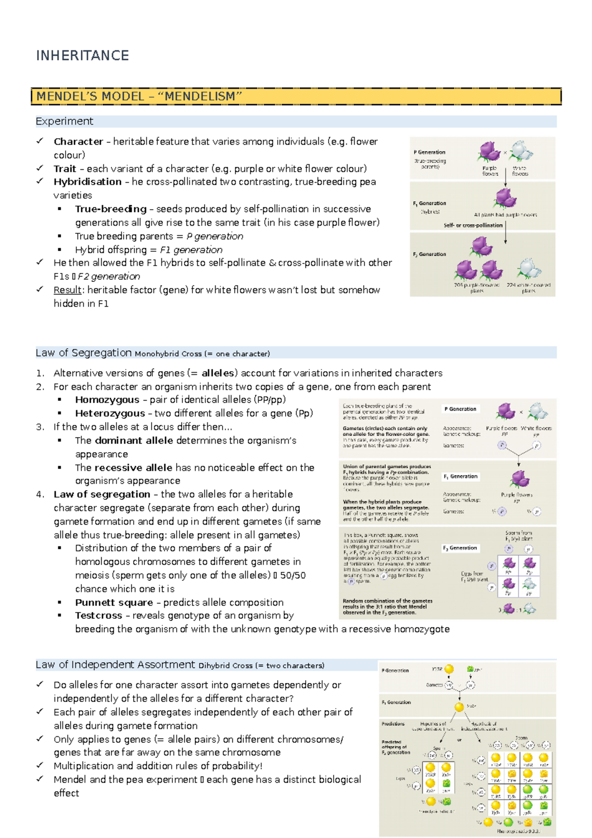 TASK 2 - Inheritance - INHERITANCE MENDEL’S MODEL – “MENDELISM” Experiment Character – heritable ...