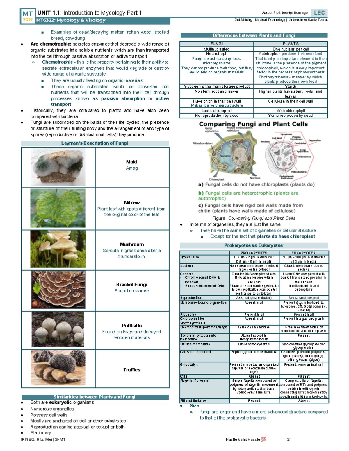 Compre-3 Itransteam-MT6322-MV-LEC-UNIT-M1-6-V1-8 Part2 - Examples of dead/decaying matter ...