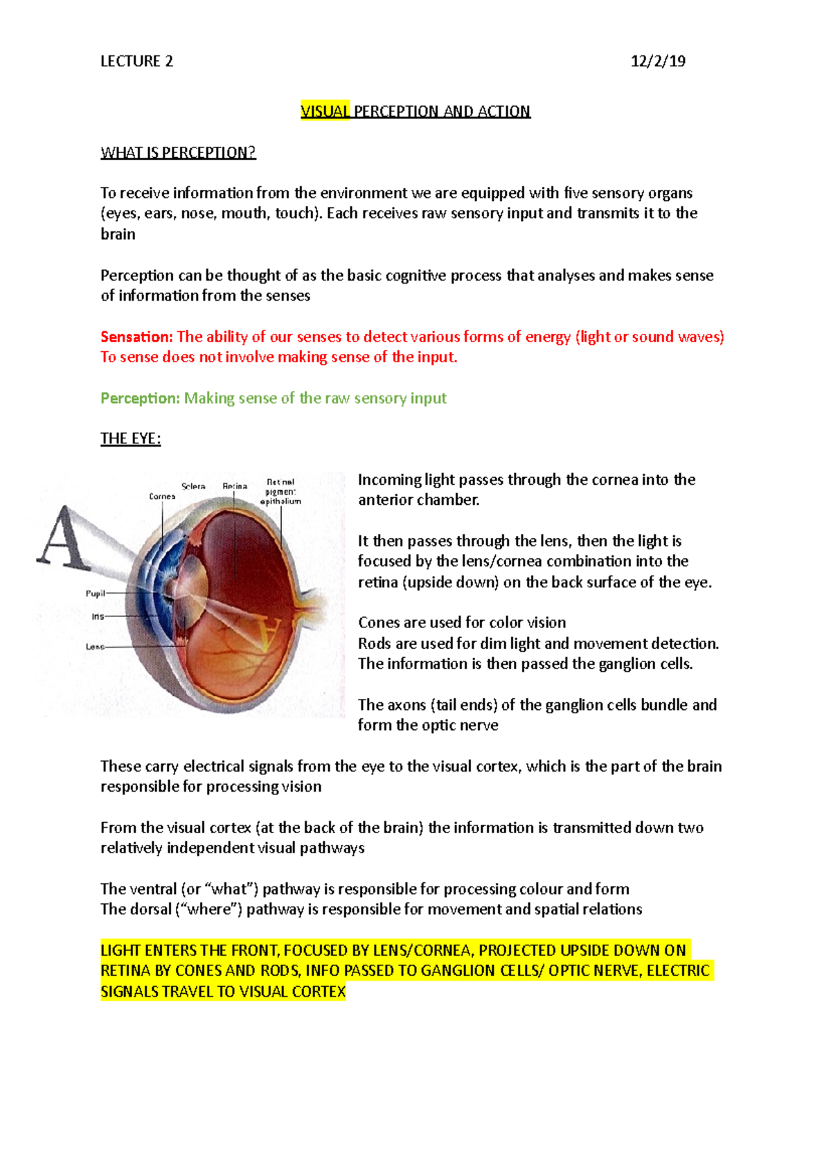 Visual Perception AND Action - VISUAL PERCEPTION AND ACTION WHAT IS ...