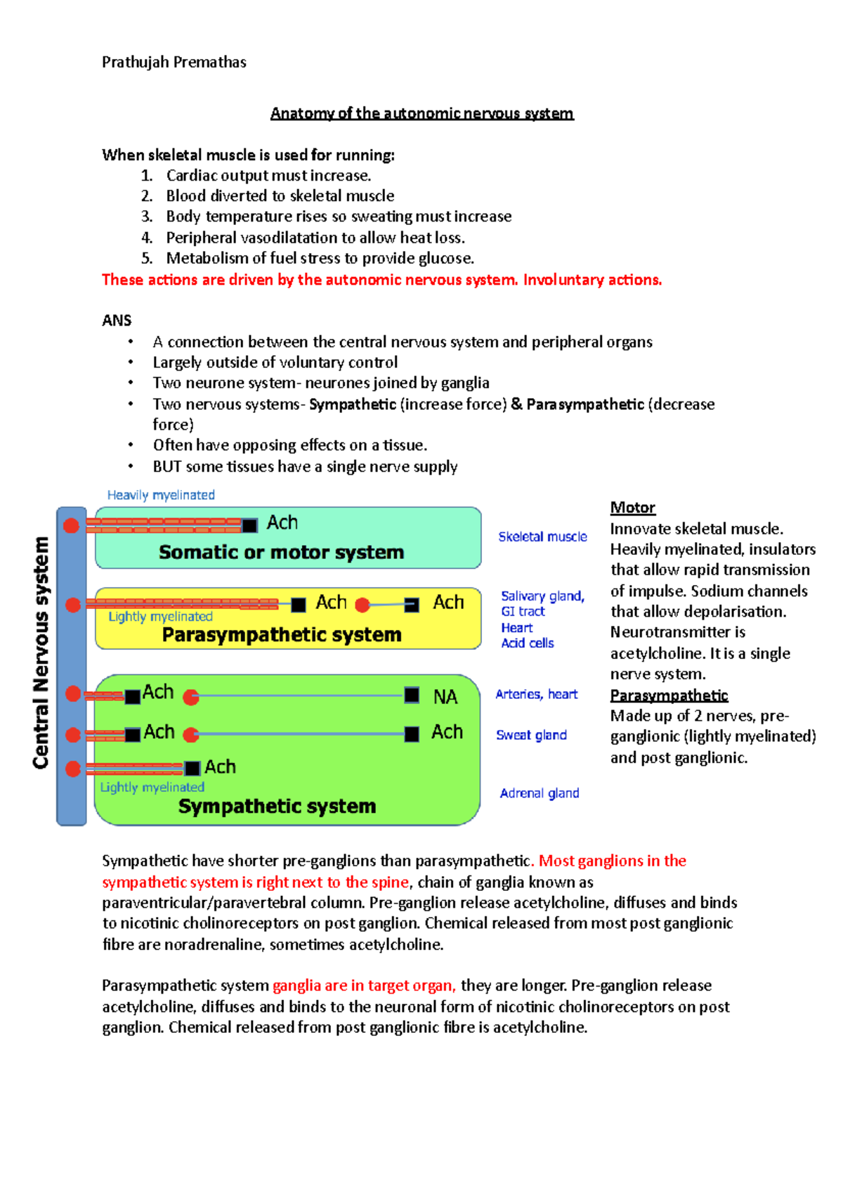Anatomy of the autonomic nervous system - Cardiac output must increase ...