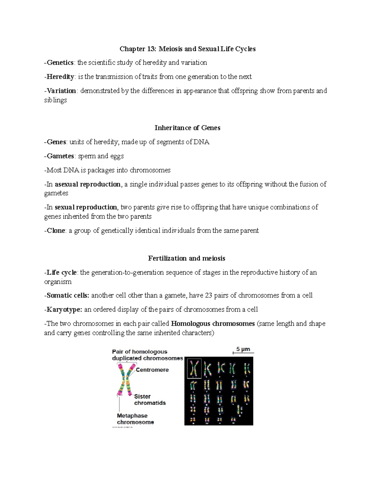 Chapter 13 Notes - unit 1 - Chapter 13: Meiosis and Sexual Life Cycles ...