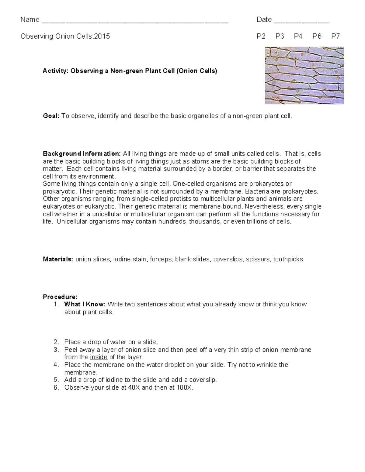 Observing Onion Cells - Summary Etica - Activity: Observing a Non-green ...