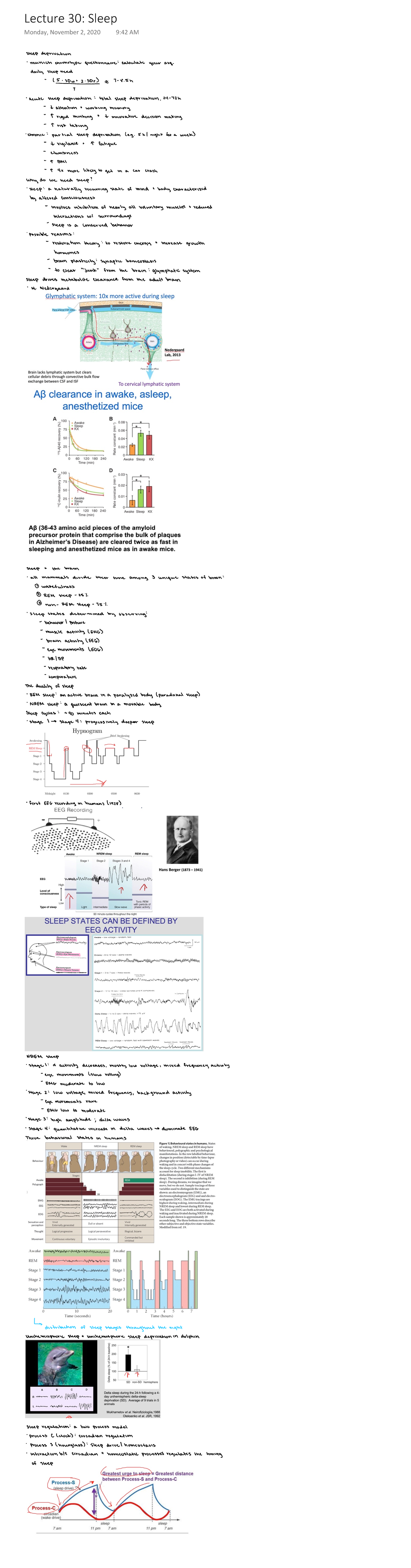 Lecture 30 Sleep - BIO 302 - Lecture 30: Sleep Monday, November 2, 2020 ...