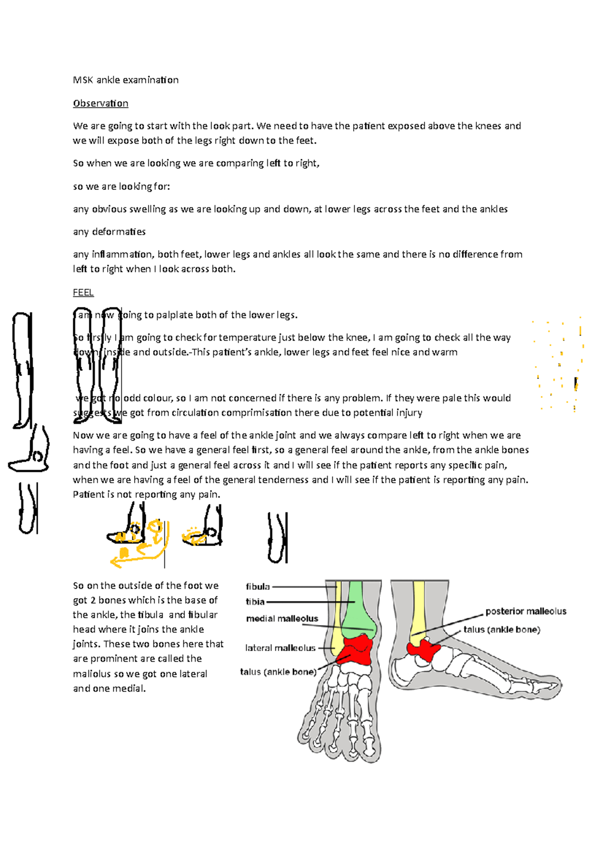 MSK ankle examination - MSK ankle examination Observation We are going ...