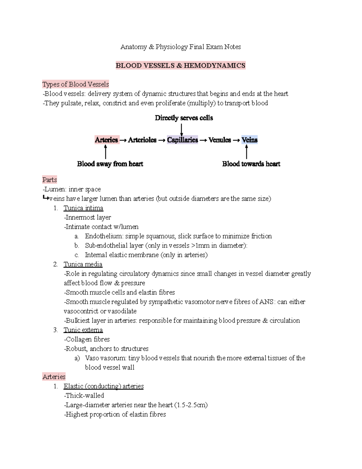 Blood vessels and hemodynamics - Anatomy & Physiology Final Exam Notes ...
