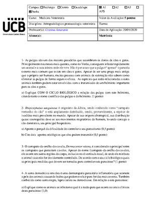 Pulgas resumo - Warning: TT: undefined function: 32 Warning: TT: undefined function: 32 PULGAS ...