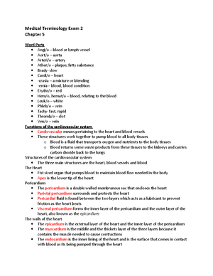 Medical Terminology ch 1 - Medical Terminology Chapter 1 Suffixes ...