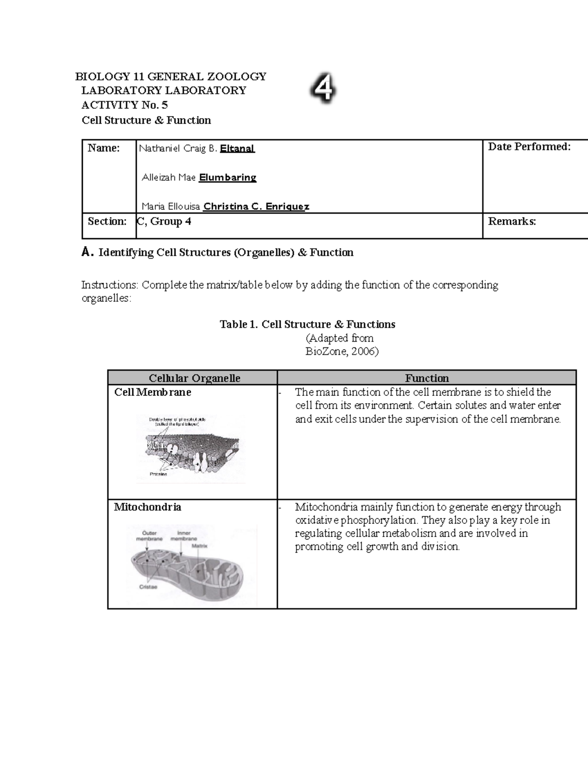 BIO11 C (LAB) - Activity no.4 Group 4 - BIOLOGY 11 GENERAL ZOOLOGY ...