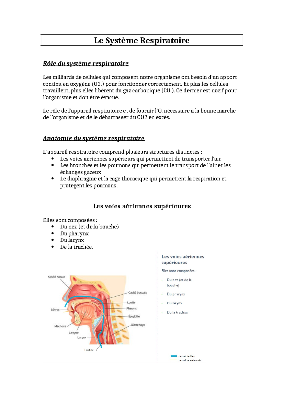 Le Système Respiratoire - Le Système Respiratoire Rôle du système ...