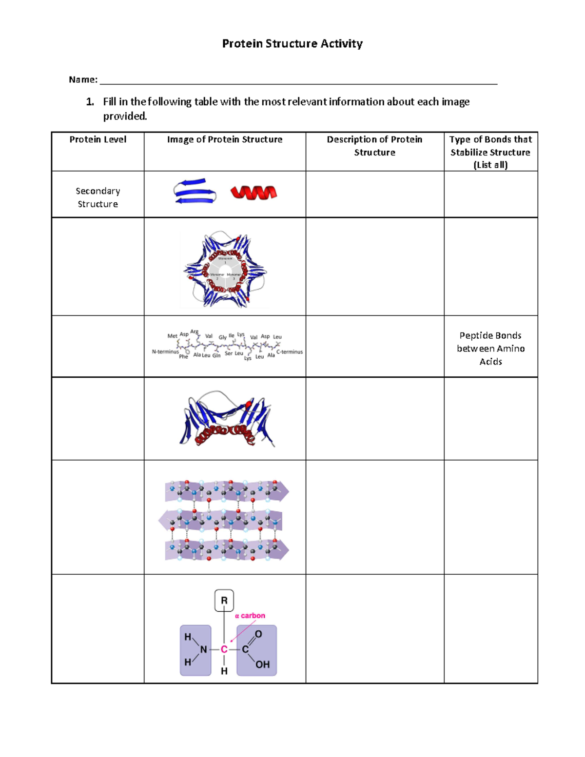 Protein Structure Activity - Protein Structure Activity Name: - Studocu