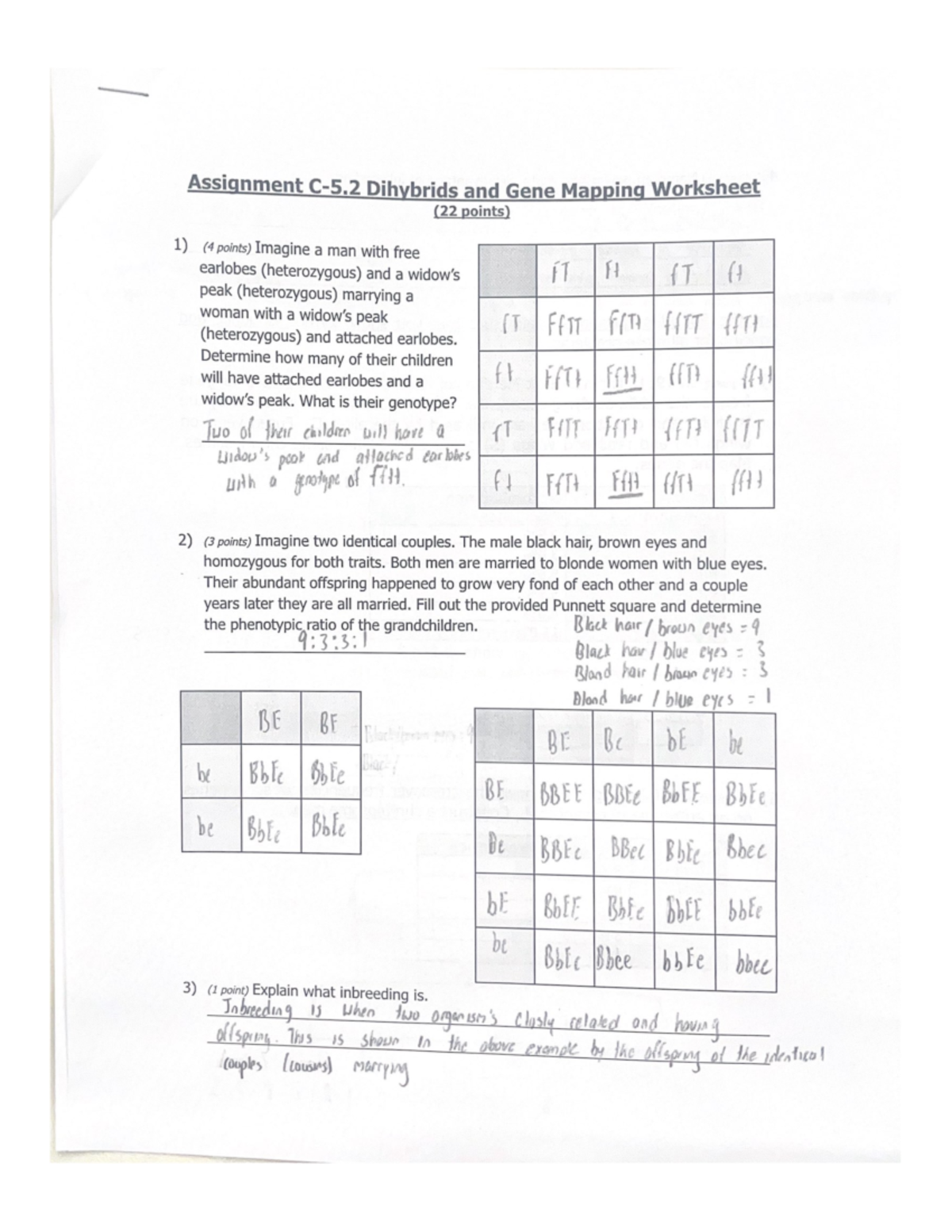 Assignment C-5.2 Dihybrids and Gene Mapping Worksheet - Studocu