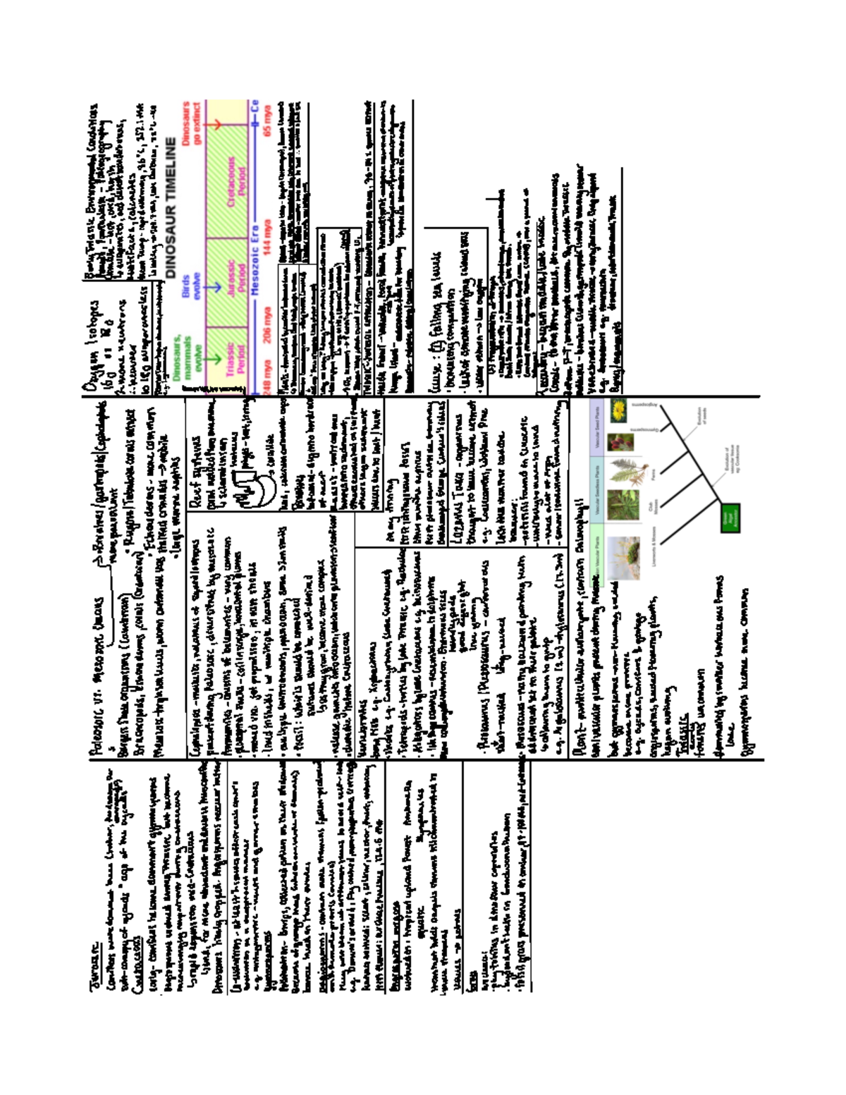 Dino Cheat Sheet - Notes - i e seee a issie e si E3 e i v EEE E ee E g ...