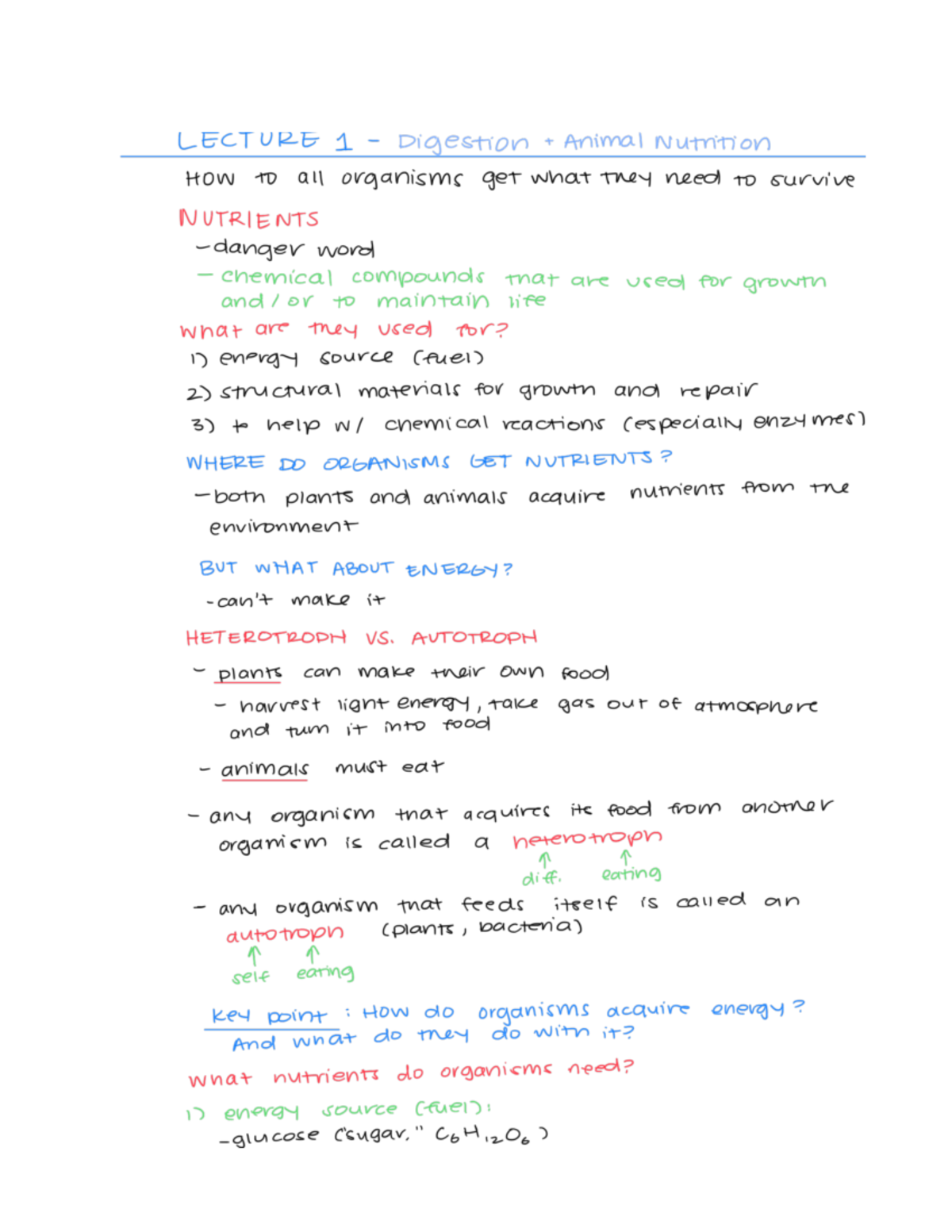 Lecture 1. Digestion and Animal Nutrition - BIOL 100 - Studocu