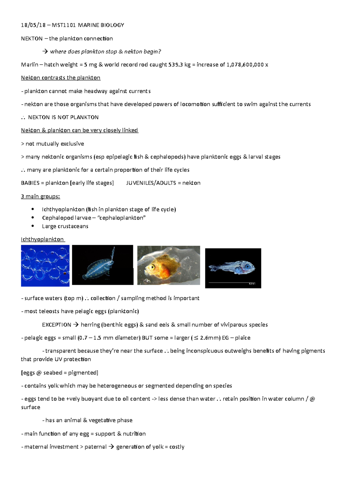 Nekton - Lecture notes 6 - 18/05/18 – MST1101 MARINE BIOLOGY NEKTON ...