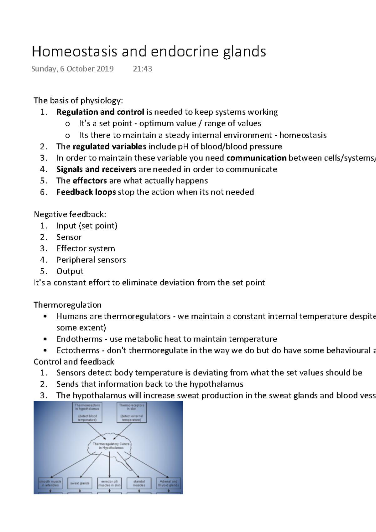 Homeostasis and endocrine glands - The basis of physiology: Regulation ...