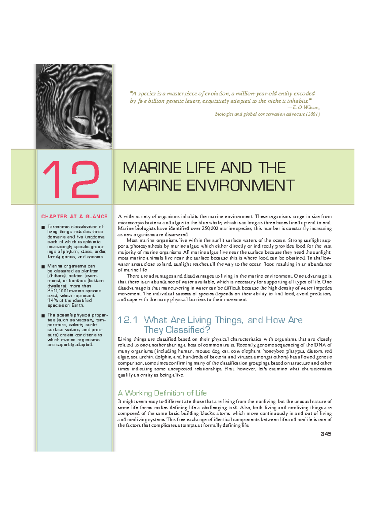 Ch 12 - Marine Life and environment - Essentials of Oceanography 10th ...