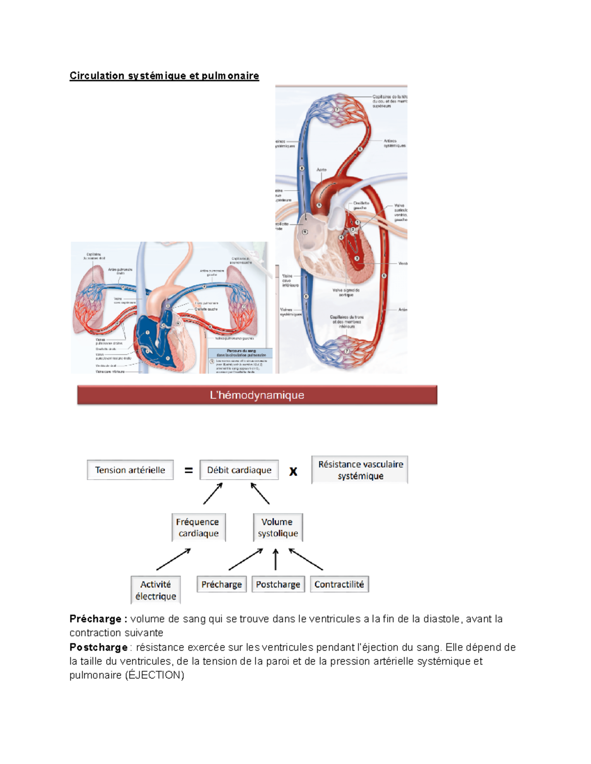 Pierre Provencher - APP - Circulation systémique et pulmonaire ...