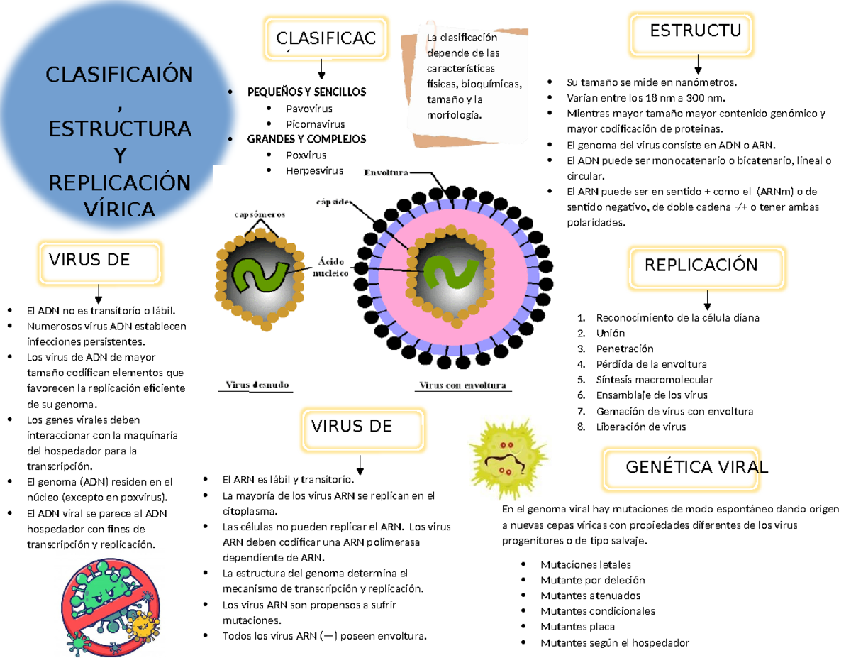 Virología Cuadros - CLASIFICAIÓN , ESTRUCTURA Y REPLICACIÓN VÍRICA ...