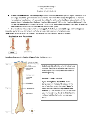 AAP test 1 study guide - Test one anatomy review - Anatomy and ...
